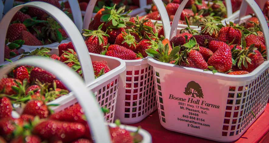 Freshfields Village: Farmers Market Re-opens June 4 – Tidelines