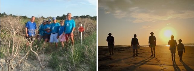 Turtle Patrol Report June 10 through June 18 – Tidelines