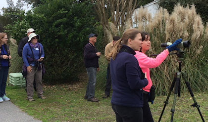 Another Successful Great Backyard Bird Count – Tidelines