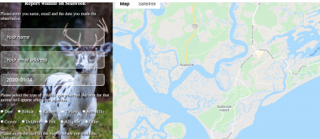 New Wildlife Sightings Reporting Form and Map – Tidelines