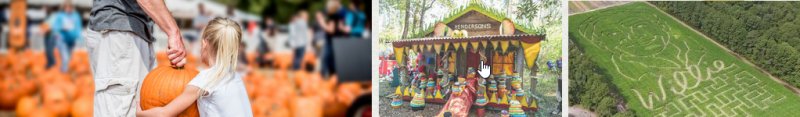Boone Hall Plantation Pumpkin Patch Oct 2 – 31 – Tidelines