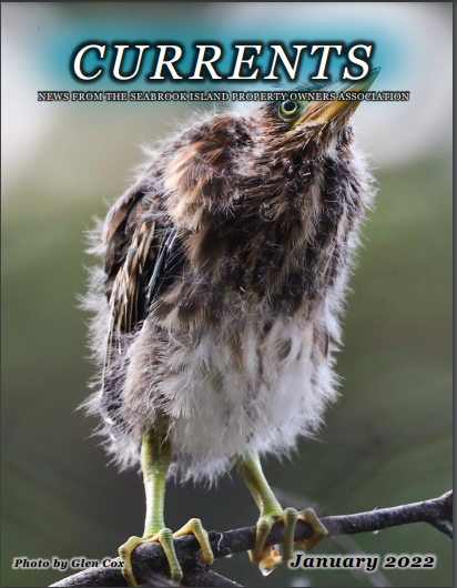 January Issue of Currents – Tidelines
