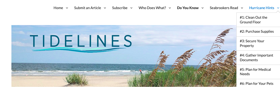 Tidelines banner with dropdown highlighted Feb 2023 – Tidelines
