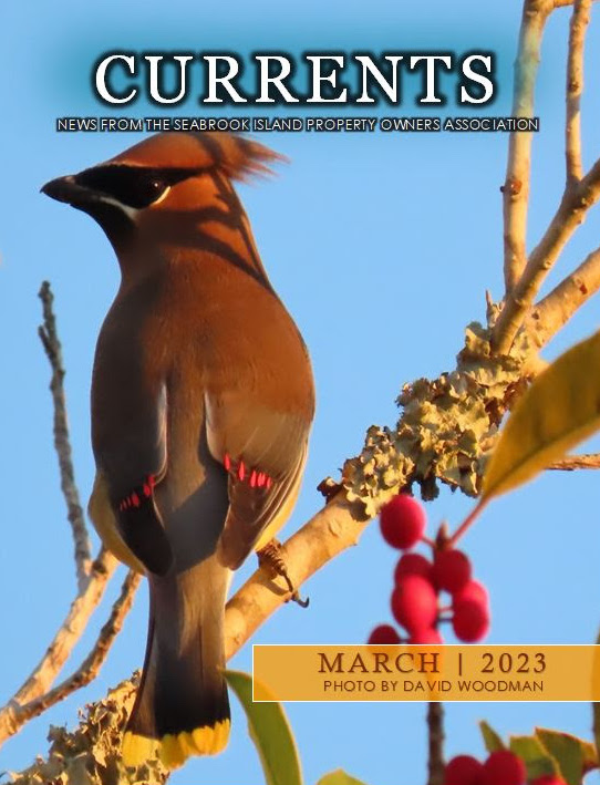 March Issue of Currents – Tidelines