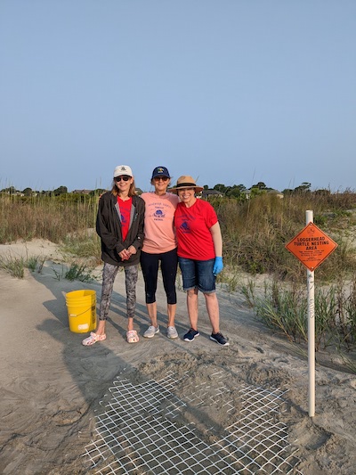 Turtle Patrol Report June 11-17 – Tidelines