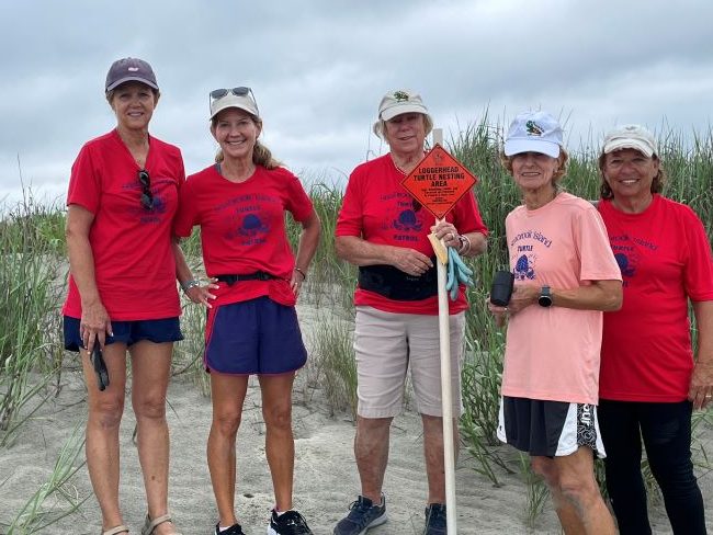 Turtle Patrol Report for July 2 – July 8 – Tidelines