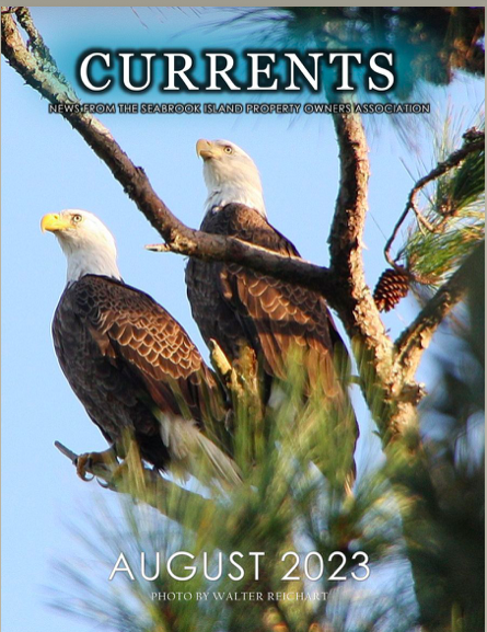 August Issue of Currents – Tidelines