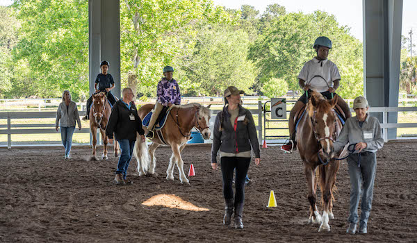Volunteers Needed For CATR – Tidelines