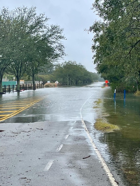 Flooding Emergency – Tidelines