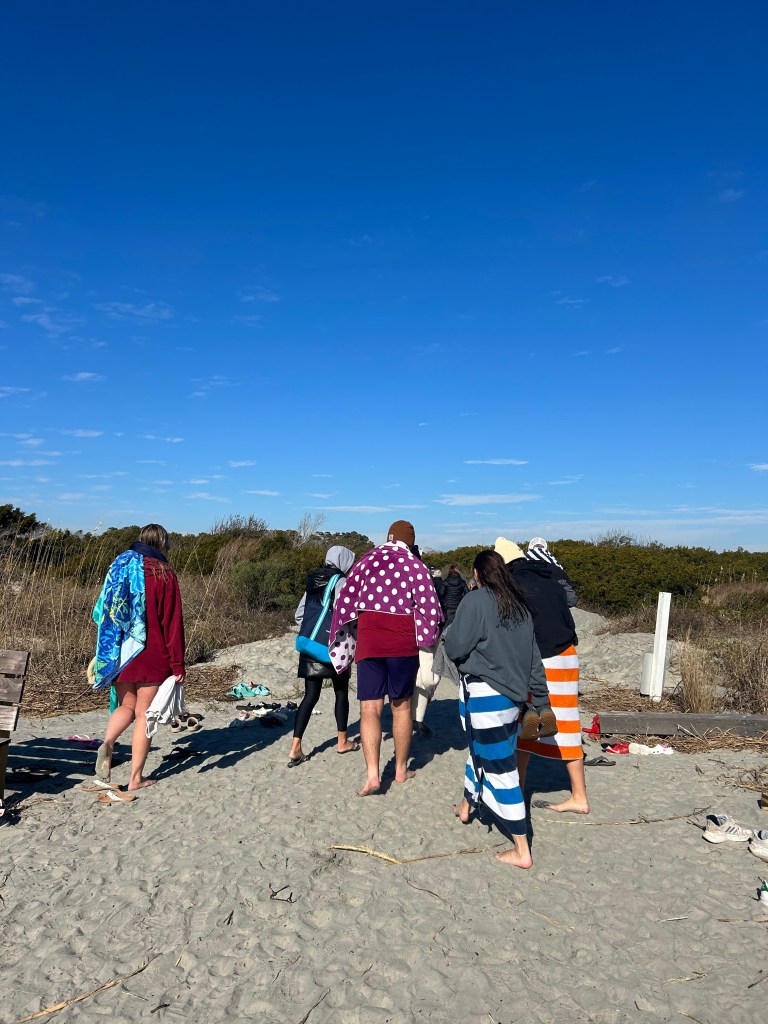 Plunging into 2024! – Tidelines