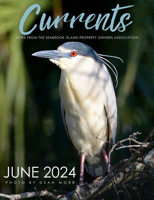 June 2024 Issue of Currents – Tidelines