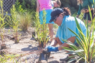 Planting Native Plants – Tidelines