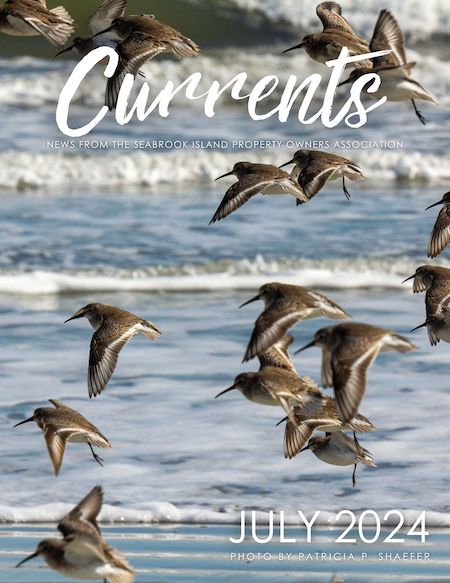 July 2024 Issue of Currents – Tidelines
