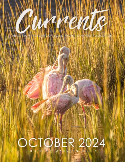 October 2024 Issue of Currents – Tidelines