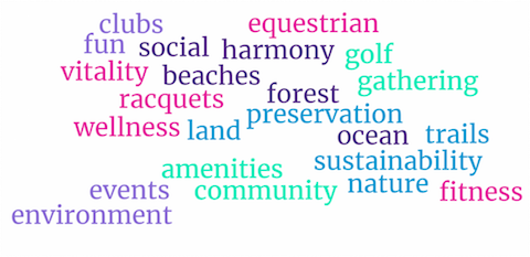 Master Plan word cloud – Tidelines